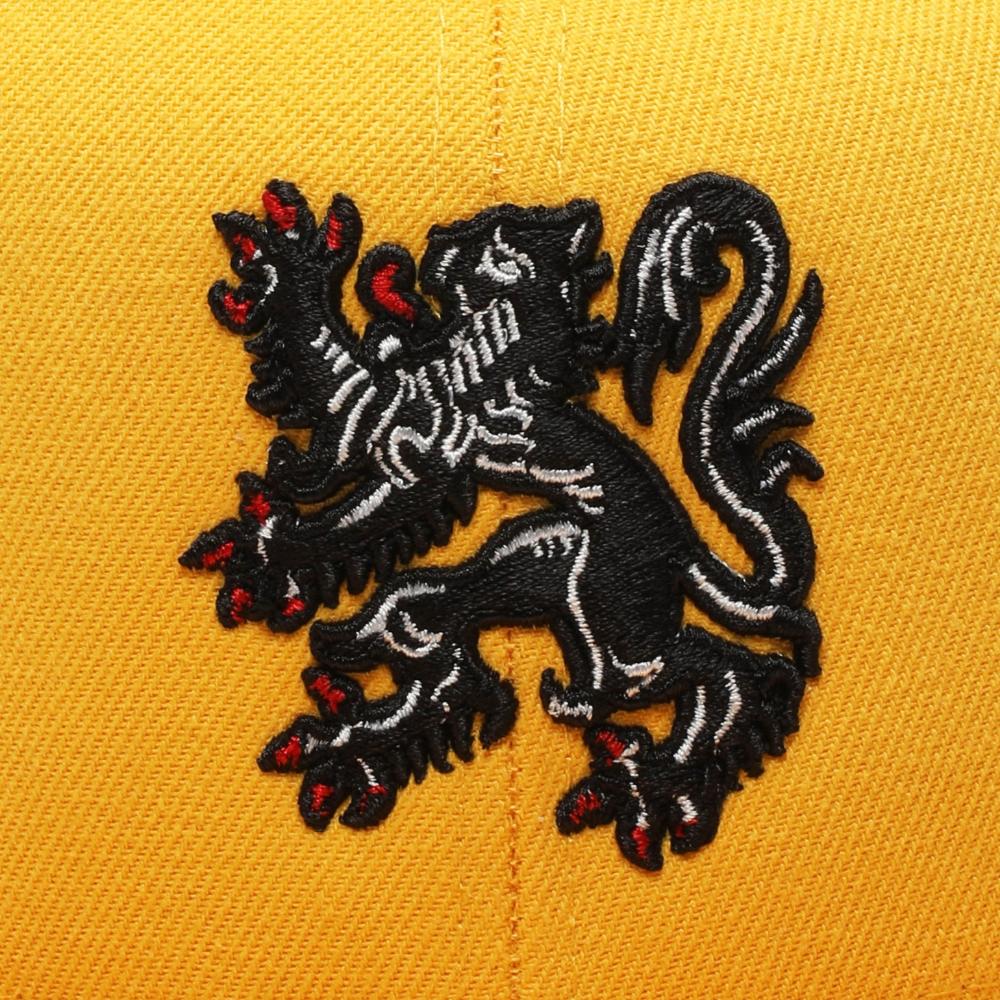Beyond Aero Lion of Flanders New Era 9FIFTY Hat